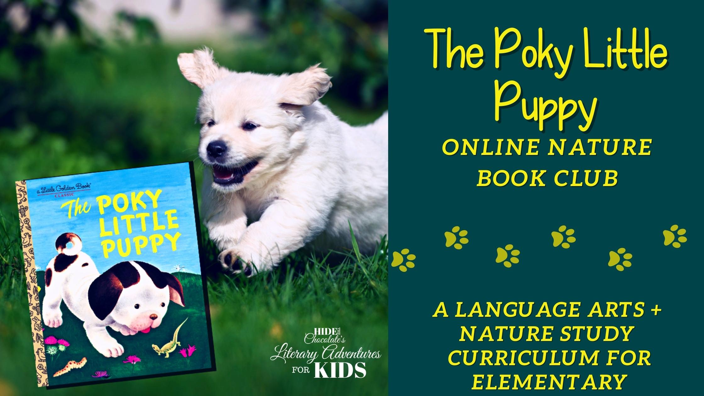 The Poky Little Puppy Online Book Club A Nature Book Club Literary