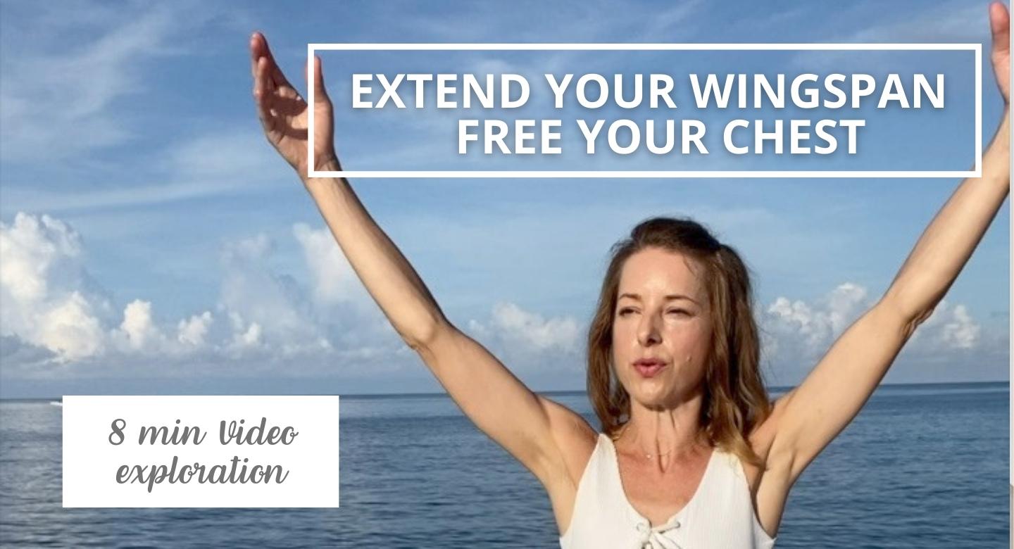 Extend Your Wingspan Free Your Chest Honest Exercise