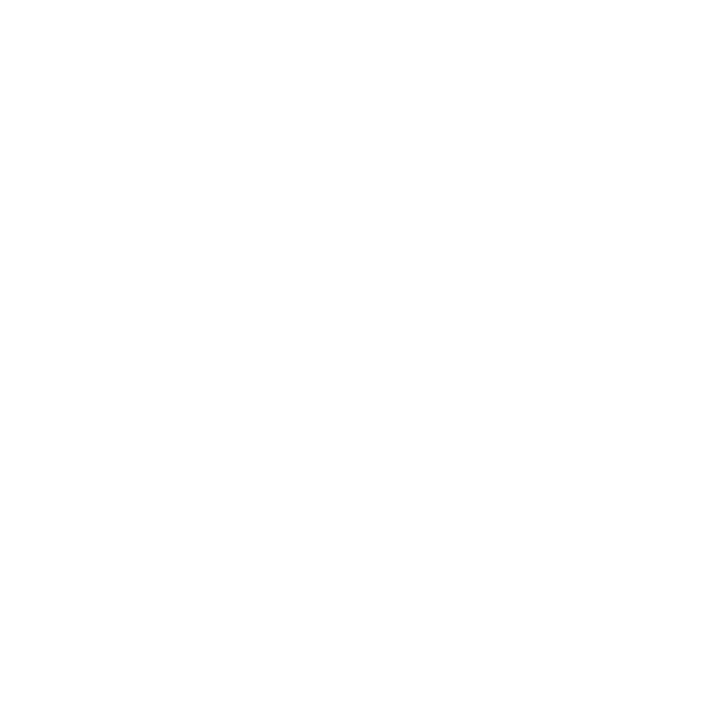 adel-saleh